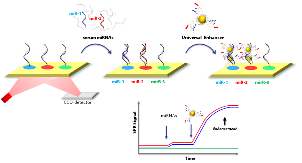 SPRi - Surface Plasmon Resonance imaging | LabionLabion SPRi - Surface Plasmon Resonance imaging | LabionLabion